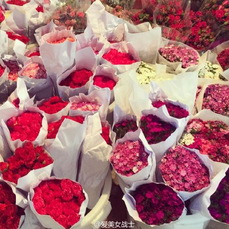 River291 River Github