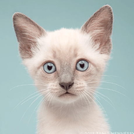 Phdb00 Phil B Github