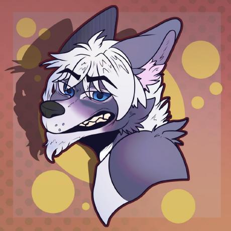 Official Husko Husko Github