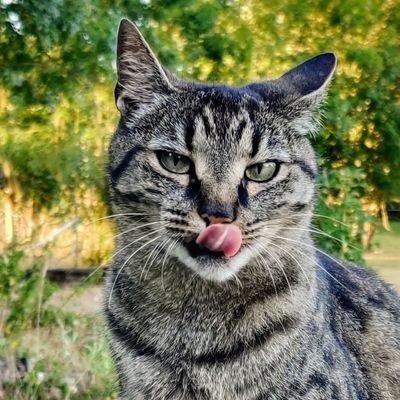 Bensuperpc Bensuperpc Github