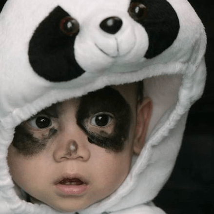 Damonliuchn Damon Liu Github