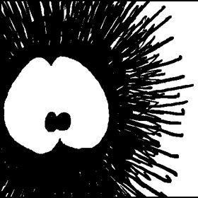 Ema Emanuele Rocca Github - Premium Mountain Wallpaper Gallery - 4K