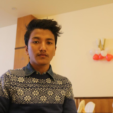 Dipeshshresthaofficial Dipesh Shrestha Github