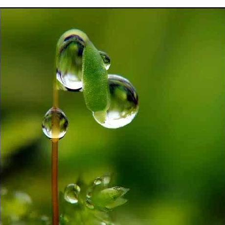 Github Lulu Ls Cloud Uploader Bs - Perfect High Resolution Gradient Arts | Free Download