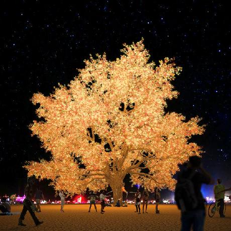 Tree Of Tenere Github