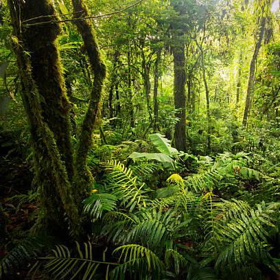 Pgleamy Patrick Gordon Leamy Github