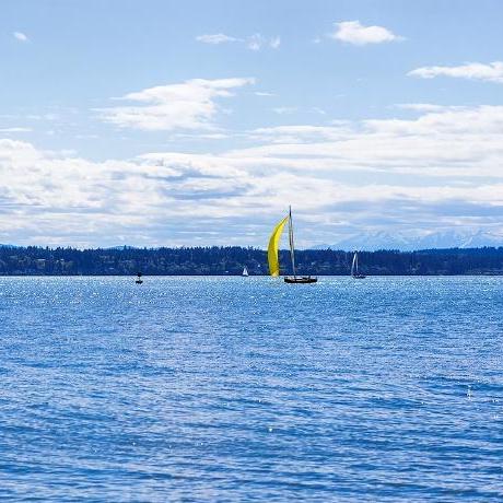 Yangbain Bin Yang Github