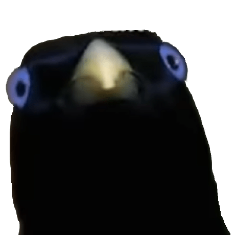 Sklphd14 Philipp Skledar Github