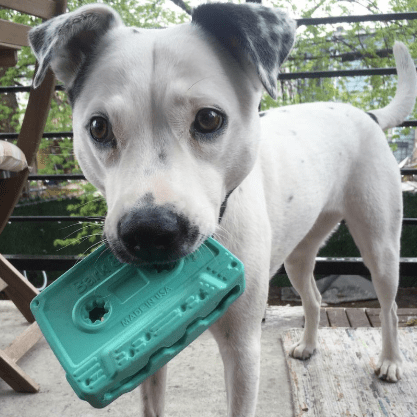 Xtinaxtina Xtina Github