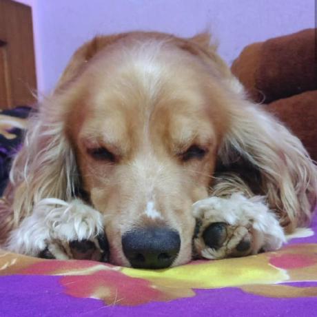 Php Jwt Validatesjwt Php At Main Adhocore Php Jwt Github - Premium Sunset Illustration Gallery - Desktop