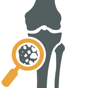 Bone Imaging Laboratory Github