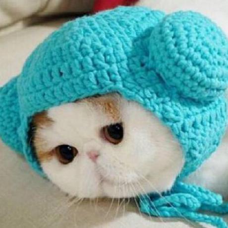 Ann040294 Ann Github