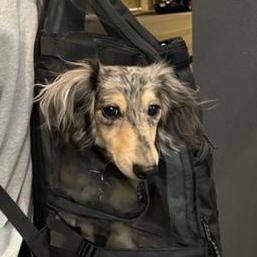 Joncwong Jonathan Wong Github - Download Perfect Geometric Photo | High Resolution