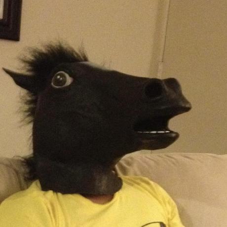 Donovangg Donovan Github