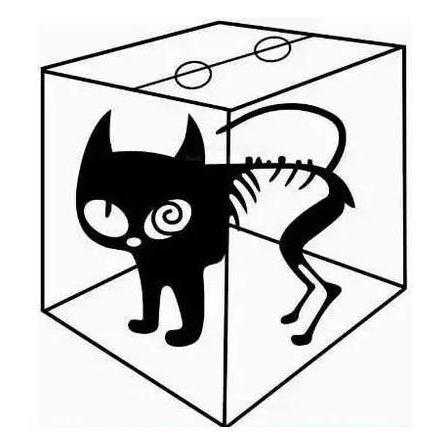 Kajweb Github Officials Github