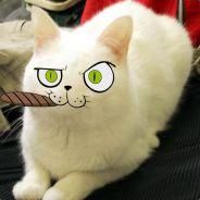 Nicrf Nicolas Github