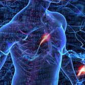 Github Thielelab Dwbm - Nature Design Collection - Full HD Quality