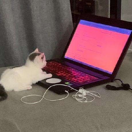 Jonathanrayner Jonathan Rayner Github - High Quality Colorful Texture - Retina