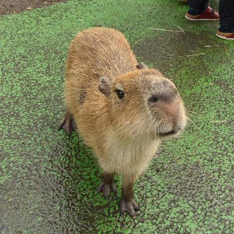 Slack Notify Actions Actions Github Marketplace Github