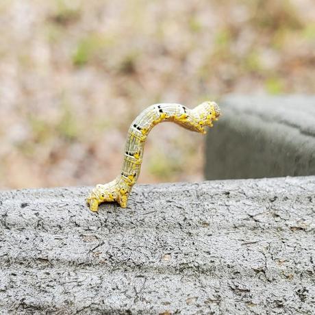 Theapx Dmitry Isupov Github