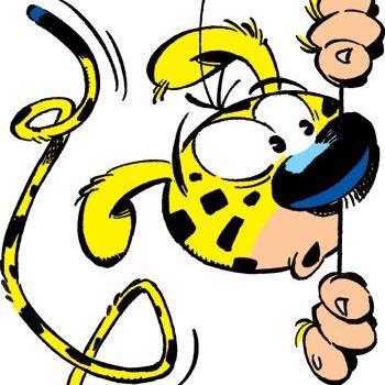 Airwide Zilko Github - Minimal Image Collection - Mobile Quality