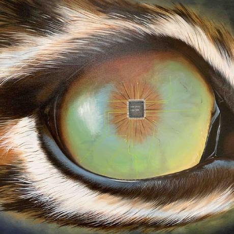 Software Process Github