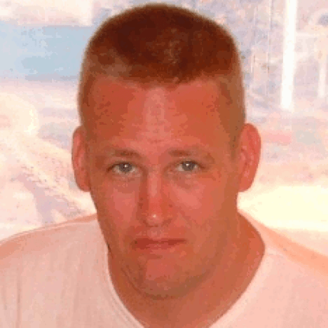 Woutav Wouter De Vries Github