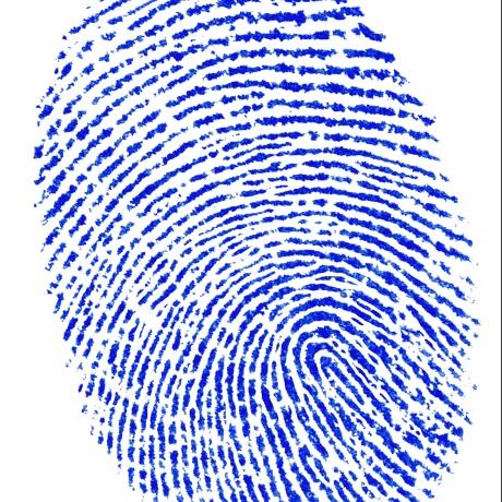 Nth Iteration Github