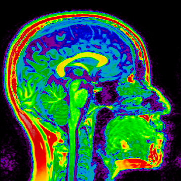 Ishani Ss Ishani Sahama Github