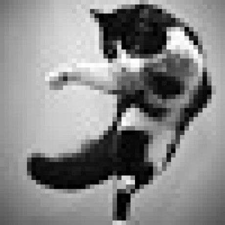 Ningzhang Git Ning Zhang Github