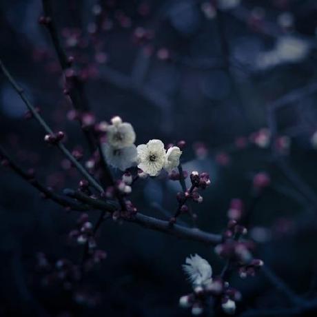 Ashna Gopi Github - Incredible High Resolution City Wallpapers | Free Download