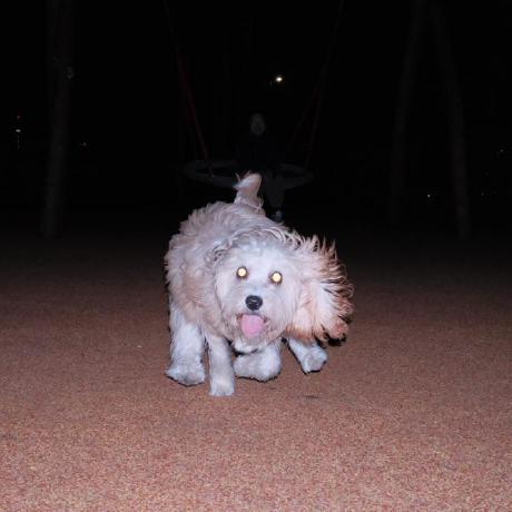 Jeremy8776 Jeremy Github