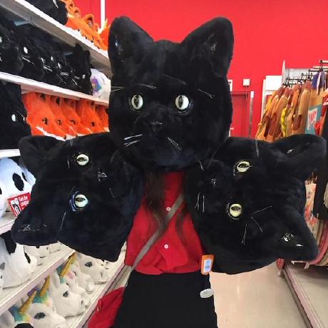 Dianadoherty Diana Doherty Github