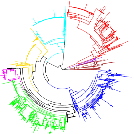 Rjgoldstone Robert Goldstone Github