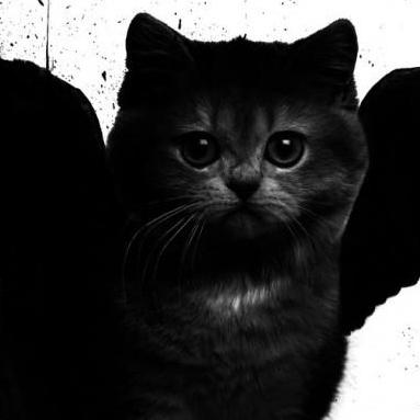 Max Unfinity Max Eliseev Github