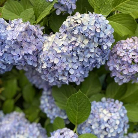 Masaya Zu Masaya Github - Download Beautiful Colorful Texture | Desktop