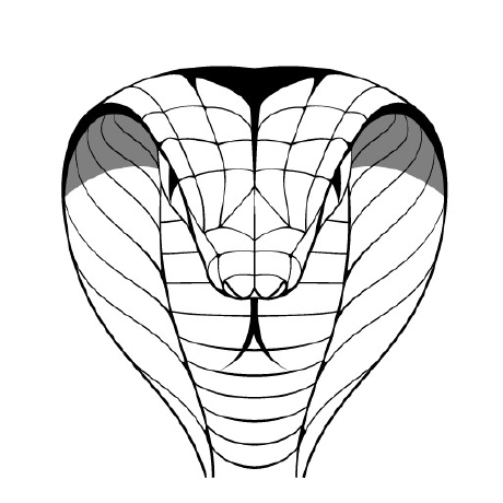 Cobra Framework Java Web Basic Github