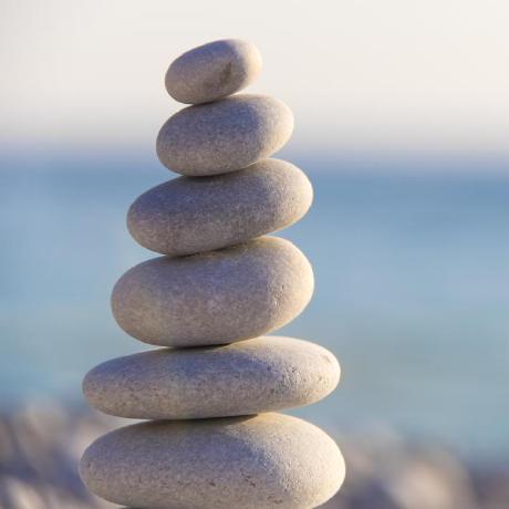 The Rock Think Stone Github