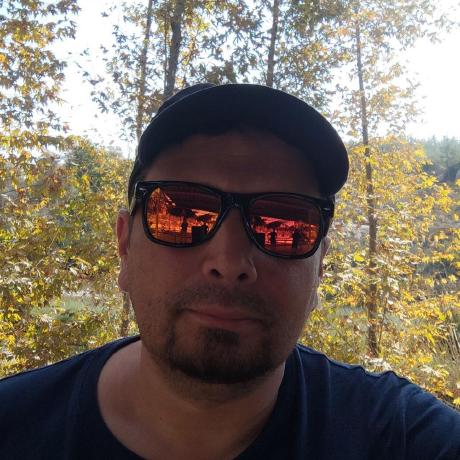 Damir Bdr Damir Bedretdinov Github