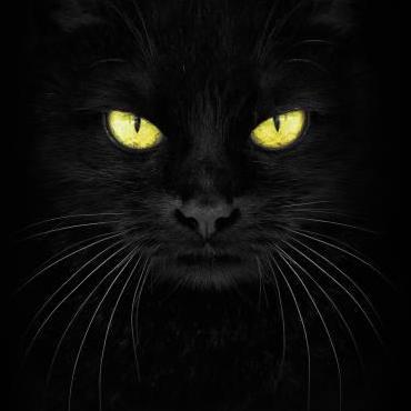 Merlinepedra Pedraza A Henry Github