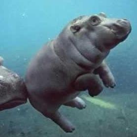 Github Magicbookproject Magicbook The Magic Book Project Returns