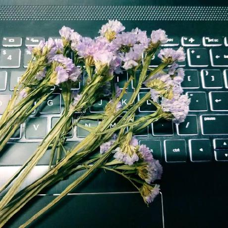 Geyuuu Yu Ge Github - Dark Images - Beautiful Mobile Collection