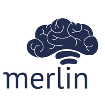 Merlin Neurotech Github