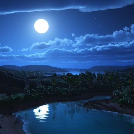 Angela D Angela Github