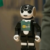 Tinytony27 Tony Github