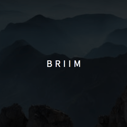 Briim Machine Learning In Javascript Github