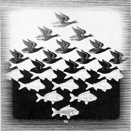 Github Jeonghopark Vectorfieldspace - Premium Gradient Design Gallery - Desktop