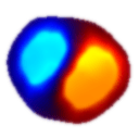 Generic Sauce Github