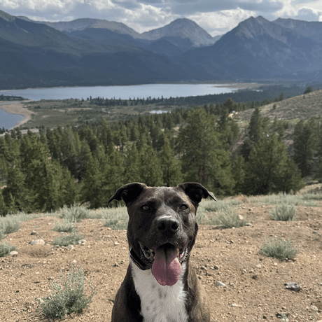 Pysecninja Drew Github