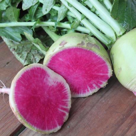 Bbq Beets Github